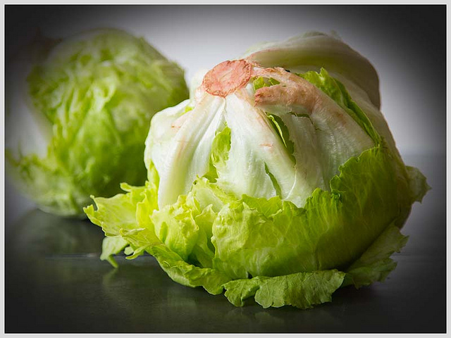 Salată Iceberg, o porție de hidratare | Diversificare.ro